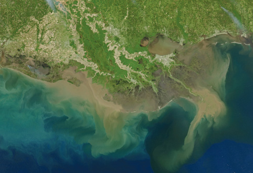 The Increasing Problem of Nutrient Runoff on the Coast | American Scientist The Increasing Problem of Nutrient Runoff on the Coast | American Scientist